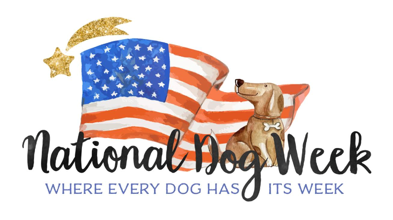 This week is National Dog Week